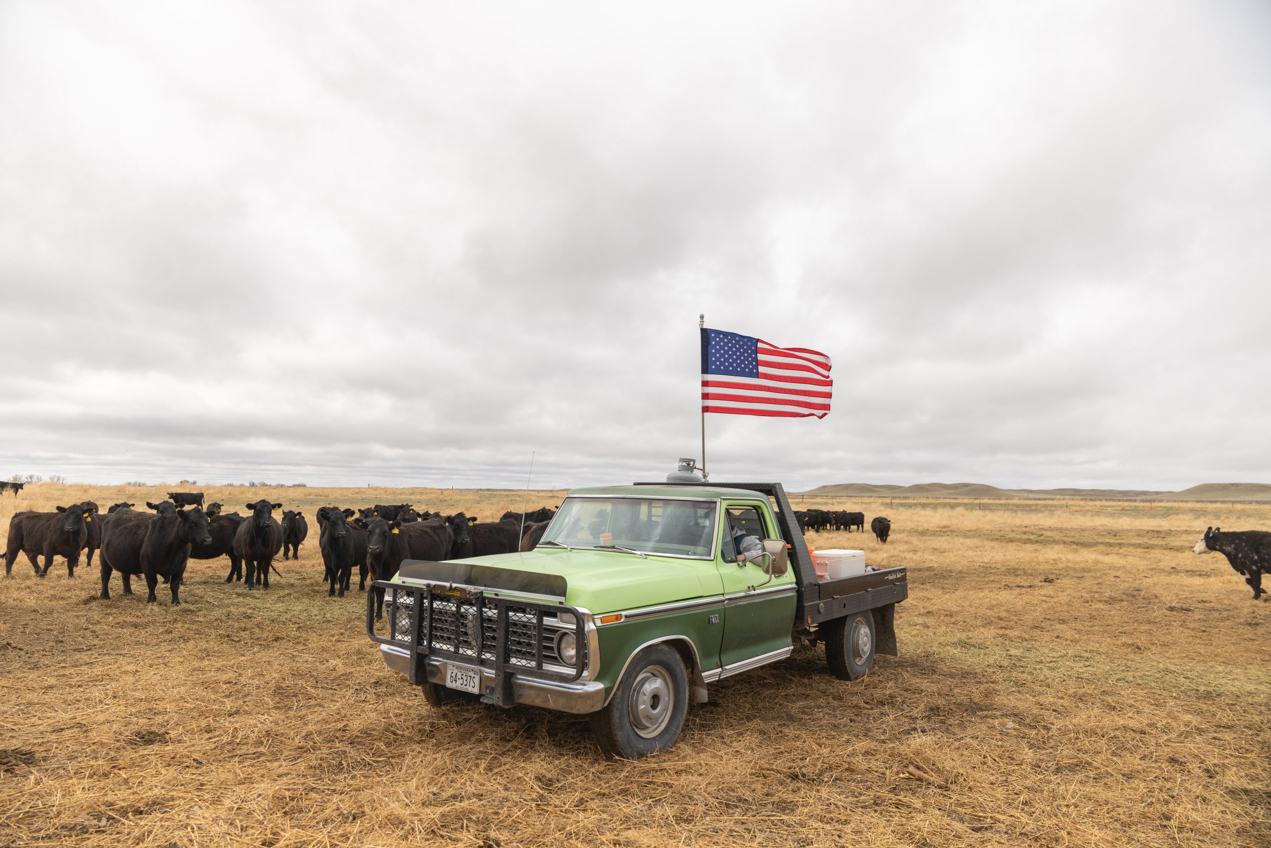 Senator Ricketts’ Weekly Column: Beef Month - Senator Pete Ricketts